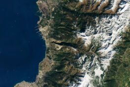 New DNA Evidence: Previously "Extinct" Houting Fish Still Exists ...