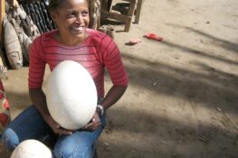 New DNA Evidence: Previously "Extinct" Houting Fish Still Exists ...