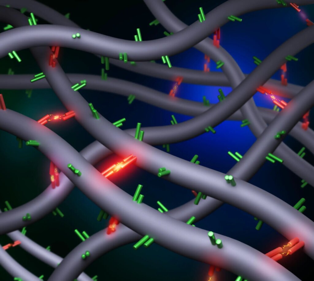 Groundbreaking Research Challenges Existing Knowledge of Associative Polymers - SciTechPost