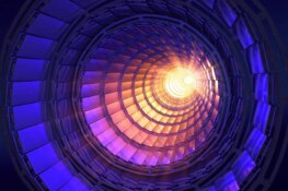 New DNA Evidence: Previously "Extinct" Houting Fish Still Exists ...