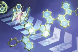 New DNA Evidence: Previously "Extinct" Houting Fish Still Exists ...