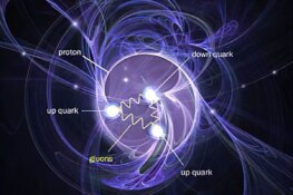 New DNA Evidence: Previously "Extinct" Houting Fish Still Exists ...