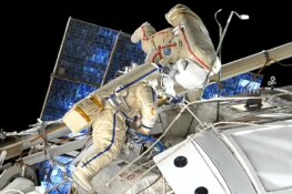 New DNA Evidence: Previously "Extinct" Houting Fish Still Exists ...