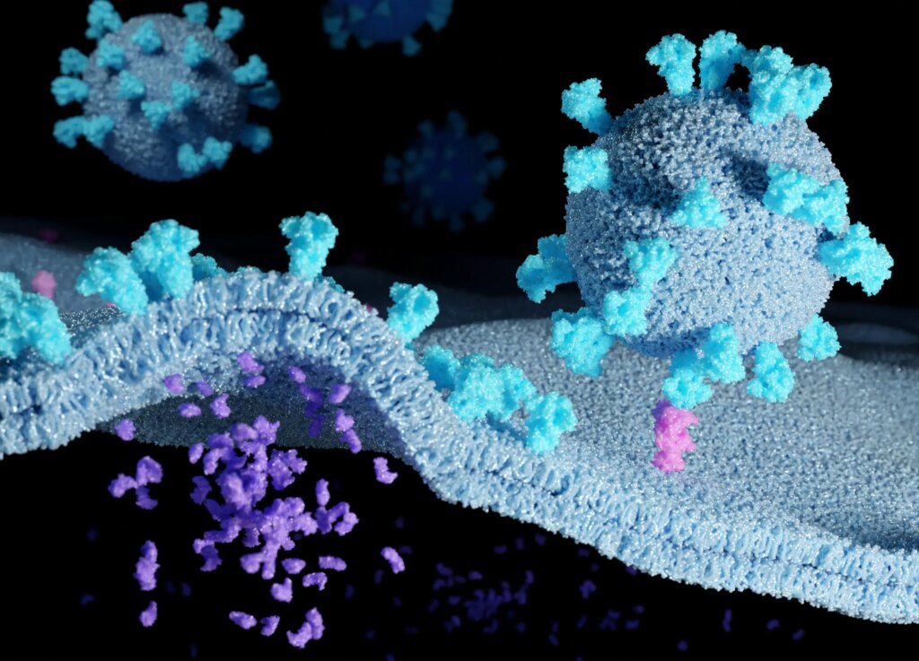 New Study Reveals Single Virus, Single Receptor Binding in COVID-19 ...