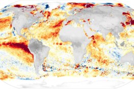 New DNA Evidence: Previously "Extinct" Houting Fish Still Exists ...