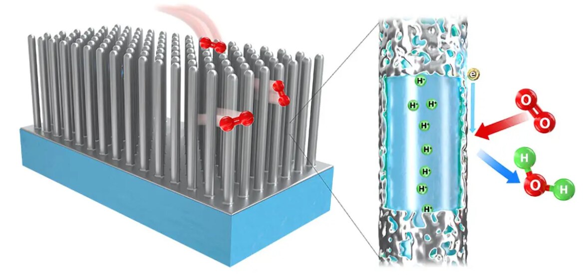 Pioneering Nanowire Technology: Advancing Fuel Cells with Superior ...