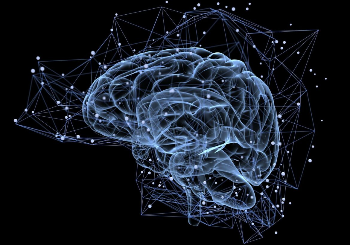 Researchers Unveil Brain Patterns Associated With High Memory Performance Scitechpost