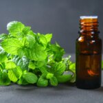 New DNA Evidence: Previously "Extinct" Houting Fish Still Exists ...