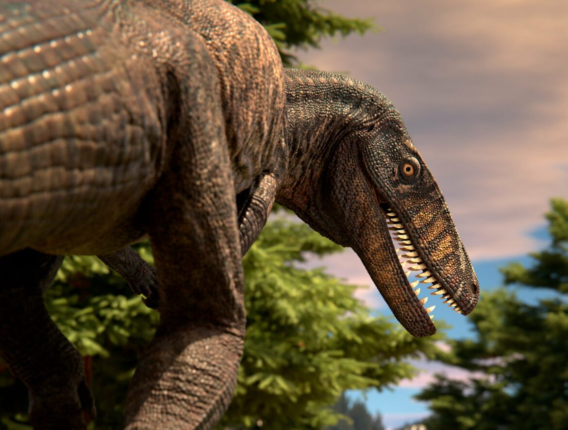 Tracing the Evolutionary Journey of Crocodiles: Insights from a New ...