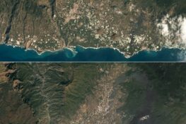 New DNA Evidence: Previously "Extinct" Houting Fish Still Exists ...