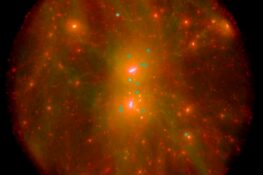 New DNA Evidence: Previously "Extinct" Houting Fish Still Exists ...